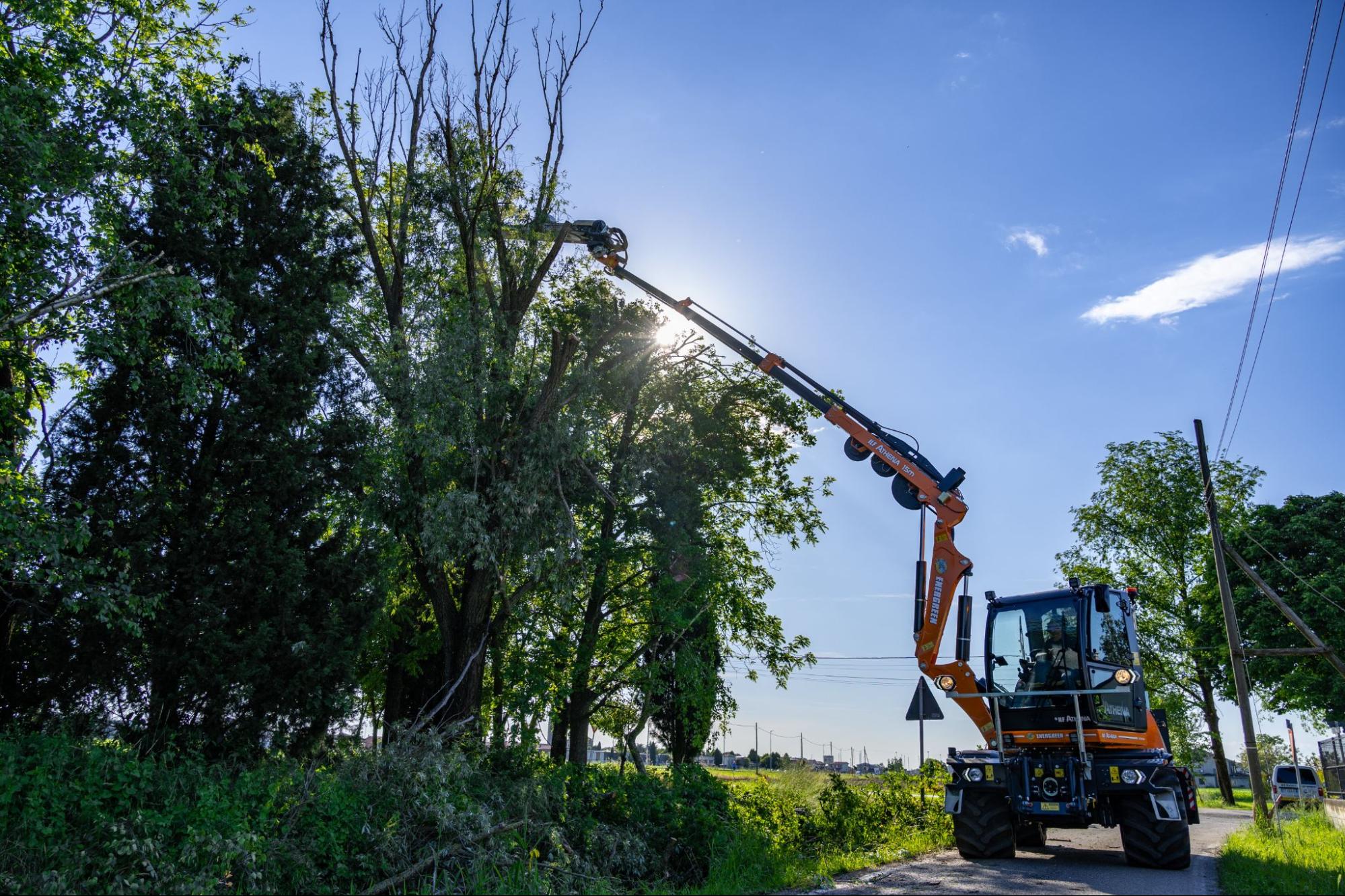 Enhance Land Clearing with Remote-Controlled Equipment